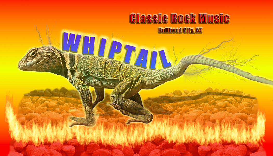 First-Time Attractions! – Whiptail
